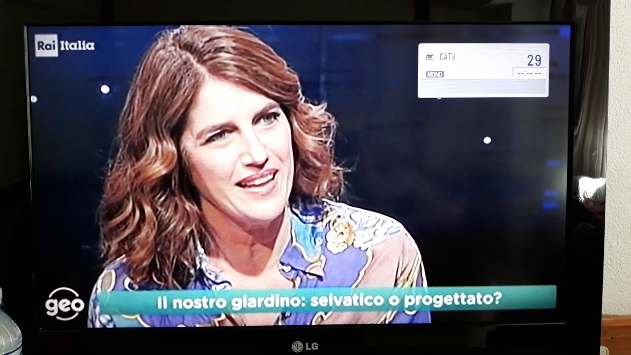 Status: Así es el Telecable cubano, disponíble únicamente ...